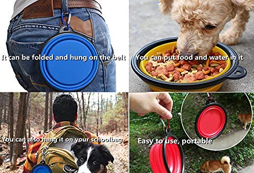 Aebor Gravity Water Bowl Cat Dog，Anti Wet cat Dog Mouth pad/Anti-Slip Base, Pet Automatic Water Dispenser with Detachable Bowl and 500ml Water Bottle, Pet Feeder for Small Medium Size Dog Cat (Green)