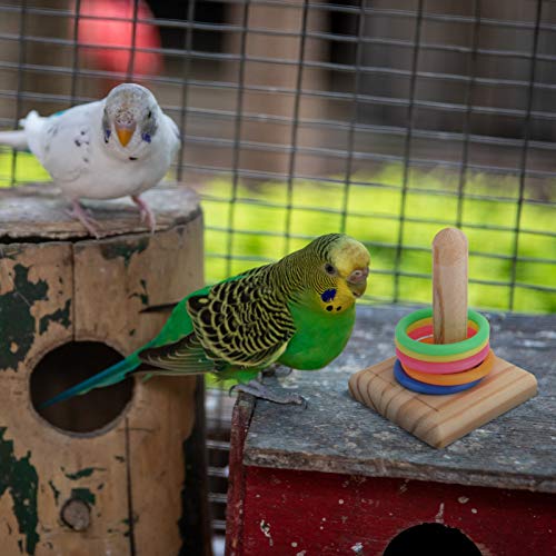 POPETPOP Bird Parrot Toy Bird Ring Toss Game Parrot Training Toys Bird Beak Trim Toys Bird Chewing Toys for Macaws African Grey Cockatoos