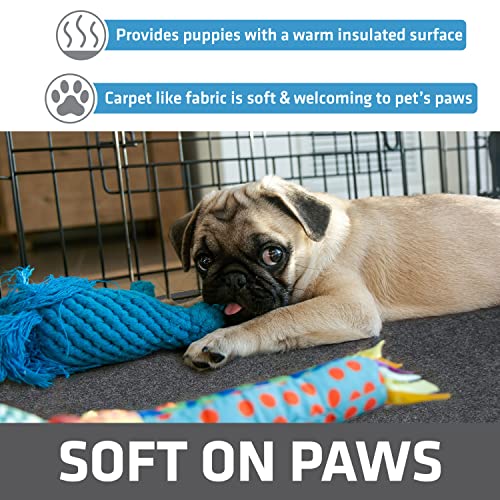 Drymate Dog Playpen Mat, Absorbent, Waterproof, Non-Slip, Machine Washable, XL Size (60β x 74β), Reusable Puppy Pad for Training, Whelping, Housebreaking, Incontinence, and Crate/Kennel (USA Made)