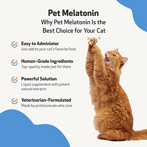Pet Wellbeing Pet Melatonin for Cats - Vet-Formulated - Support for Feline Hyperthyroid, Natural Relaxant, Sleep Support - Liquid Supplement 2 oz (59 ml)