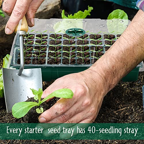 10 Pcs Seed Starter Tray 40 Cells Seed Starter Kit with Humidity Dome and Base Propagation Tray Plant Germination Greenhouse Mini Propagator Station for Seeds Growing, Total 400 Cells(Green,10 Pcs)