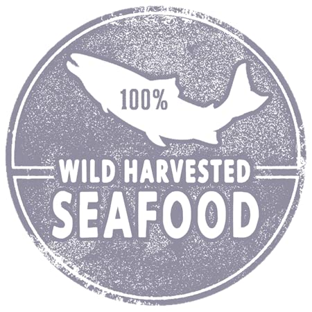Fresh Is Best - Freeze Dried Healthy Raw Meat Treats for Dogs & Cats - Wild Salmon Fillets