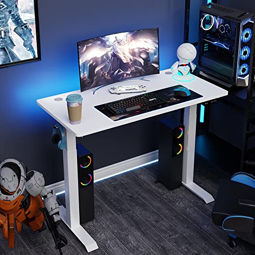 Vongrasig Height Adjustable Electric Standing Desk, 48 x 24 Inches Home Office Stand Up Table Computer Workstation with Splice Table Board & Memory Controller (White Frame + White Desktop)