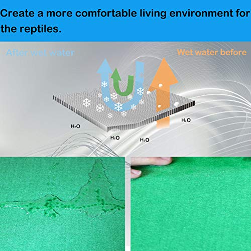 HERCOCCI Reptile Carpet, 39ββ x 20ββ Terrarium Bedding Substrate Liner Reptile Cage Mat Supplies for Bearded Dragon Lizard Tortoise Leopard Gecko Snake (Green)