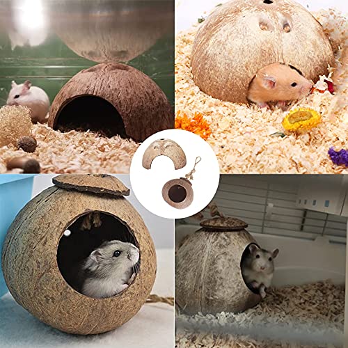 PINVNBY Coconut Hut Hamster Hiding House Hanging Coconut Shells Pet Cave Hideout Small Animal Cage Habitat Decor for Gerbils Rats Mice Dwarf Syrian Hamster Playing & Resting (6 PCS)