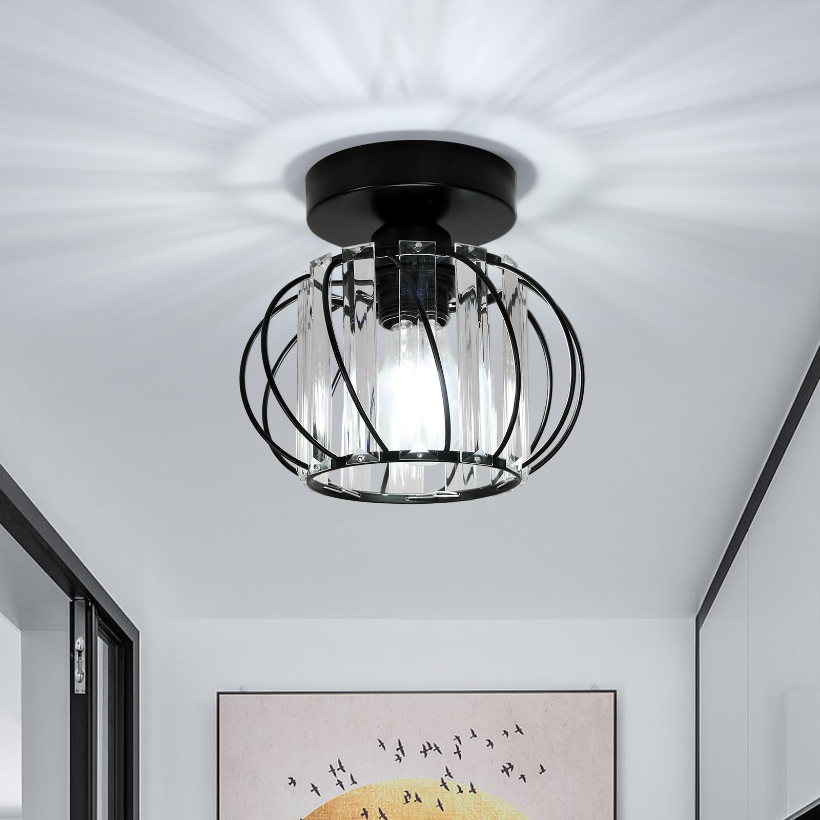 DELIPOP Semi Flush Mount Ceiling Light, Dimmable Small Metal Cage Hallway Light Fixtures Ceiling Lamps, Farmhouse Ceiling Light Fixture, Industrial Crystal Chandelier for Corridor Bathroom Kitchen