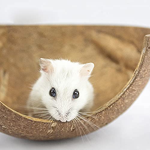 PINVNBY Coconut Hut Hamster Hiding House Hanging Coconut Shells Pet Cave Hideout Small Animal Cage Habitat Decor for Gerbils Rats Mice Dwarf Syrian Hamster Playing & Resting (6 PCS)
