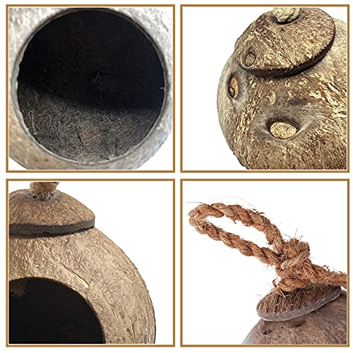 PINVNBY Coconut Hut Hamster Hiding House Hanging Coconut Shells Pet Cave Hideout Small Animal Cage Habitat Decor for Gerbils Rats Mice Dwarf Syrian Hamster Playing & Resting (6 PCS)