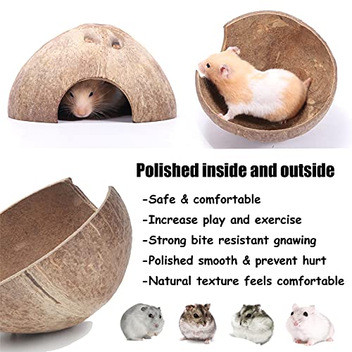 PINVNBY Coconut Hut Hamster Hiding House Hanging Coconut Shells Pet Cave Hideout Small Animal Cage Habitat Decor for Gerbils Rats Mice Dwarf Syrian Hamster Playing & Resting (6 PCS)