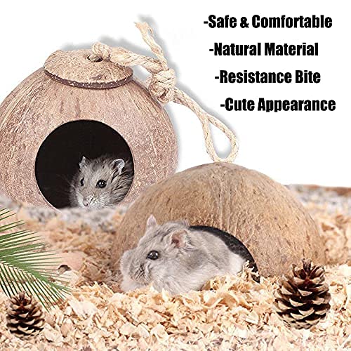 PINVNBY Coconut Hut Hamster Hiding House Hanging Coconut Shells Pet Cave Hideout Small Animal Cage Habitat Decor for Gerbils Rats Mice Dwarf Syrian Hamster Playing & Resting (6 PCS)