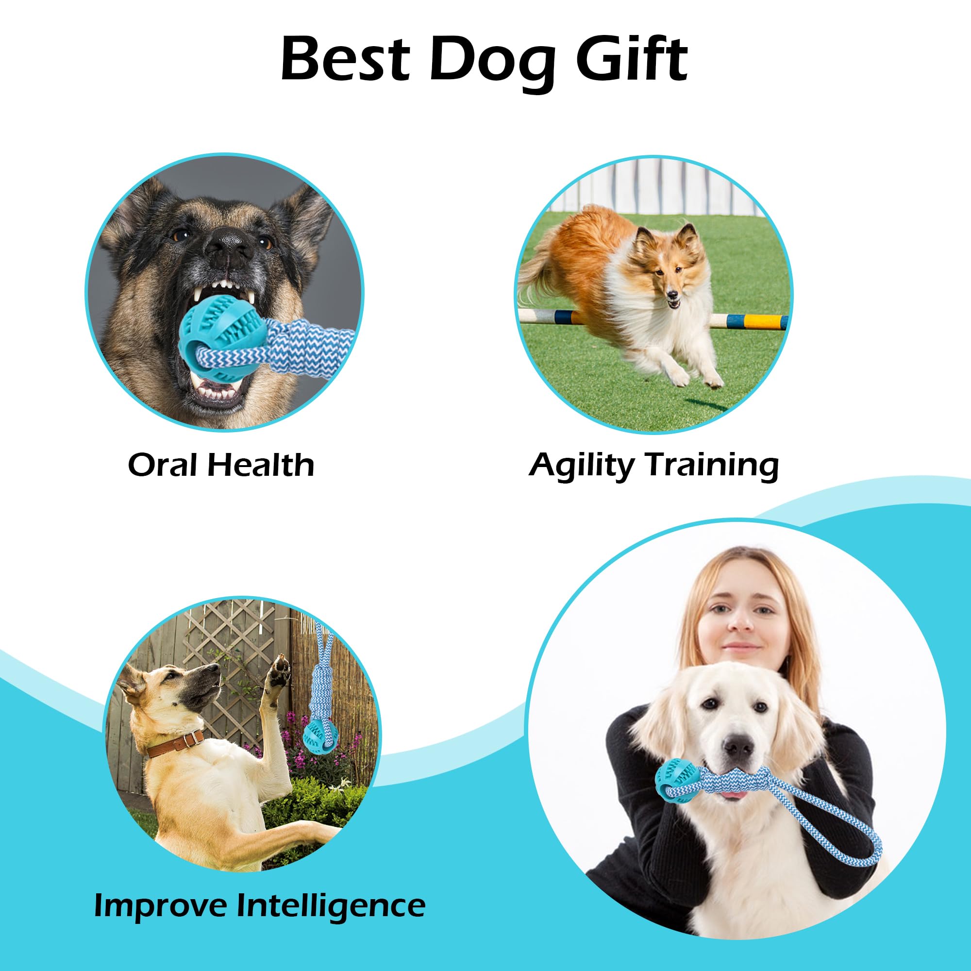 Bungee Dog Toy Set,Dog Outdoor Bungee Solo Hanging Toy,Tether Tug of War Dog Toys for Pitbull Medium/Large Aggressive Chewers to Muscle Build, Interactive Excise 16ft Spring Pole Rope with Chew Toys