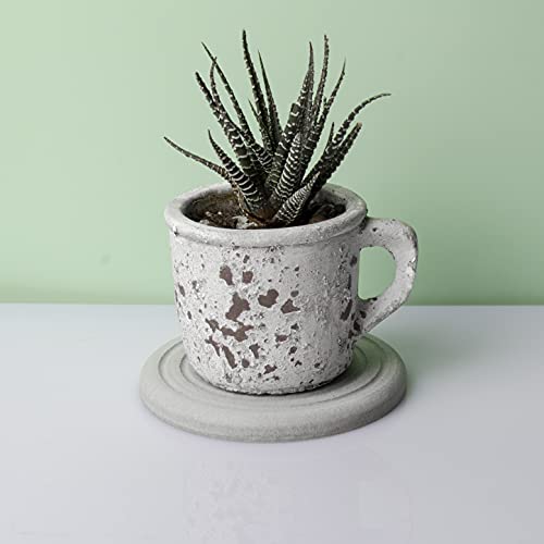 Skylarlife Absorbent Diatomite Coaster for Drinks and Plants Fast Water Absorption in Seconds, Odorless Diatomaceous Earth Non-Slip Insulation Protect Table Countertop from Damage Minimal Set of 4