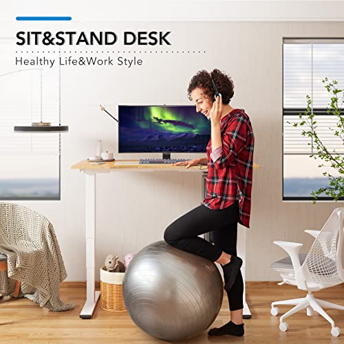 FLEXISPOT Classic 3 Stages Dual Motor Electric Standing Desk 55x28 Inches Whole-Piece Desk Board Height Adjustable Desk Electric Stand Up Desk Sit Stand Desk(White Frame + Natural Desktop)