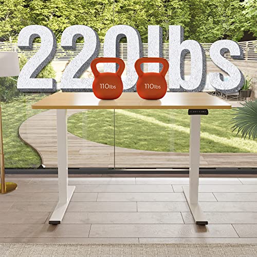 FLEXISPOT Classic 3 Stages Dual Motor Electric Standing Desk 55x28 Inches Whole-Piece Desk Board Height Adjustable Desk Electric Stand Up Desk Sit Stand Desk(White Frame + Natural Desktop)