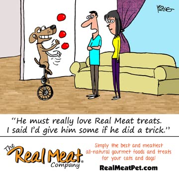 Real Meat Air-Dried Jerky Treats, Free-Range, All-Natural (Beef, 12oz)