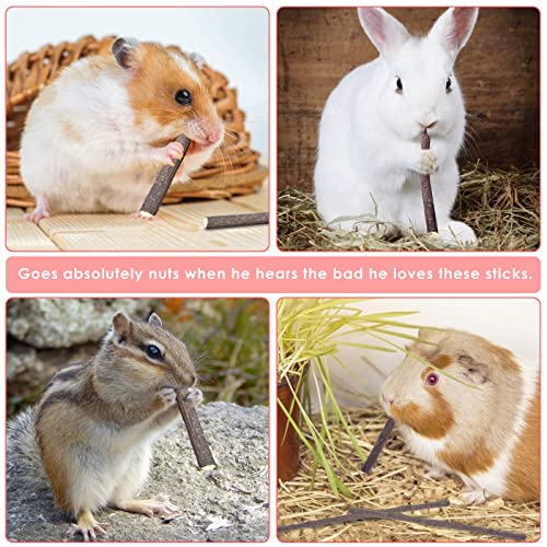 ERKOON 300g or 500g Natural Apple Sticks Small Animals Molar Chew Toys Apple Branch Chew Treats for Hamster Rabbit Chinchilla Bunny Guinea Pig Squirrel