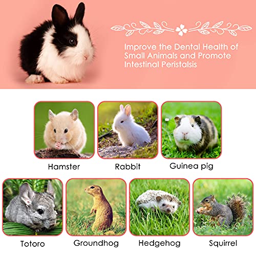 ERKOON 300g or 500g Natural Apple Sticks Small Animals Molar Chew Toys Apple Branch Chew Treats for Hamster Rabbit Chinchilla Bunny Guinea Pig Squirrel