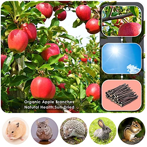 ERKOON 300g or 500g Natural Apple Sticks Small Animals Molar Chew Toys Apple Branch Chew Treats for Hamster Rabbit Chinchilla Bunny Guinea Pig Squirrel