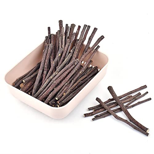 ERKOON 300g or 500g Natural Apple Sticks Small Animals Molar Chew Toys Apple Branch Chew Treats for Hamster Rabbit Chinchilla Bunny Guinea Pig Squirrel