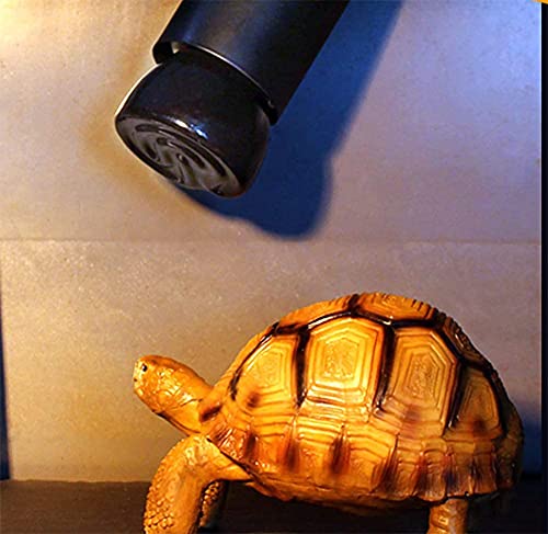 Qixivcom 2-Packs 50W Black Ceramic Heat Lamp Mini Reptile Heat Lamp Bulbs E26/E27 Infrared Reptile Heat Emitter Heater Lamp Bulb No Light Lamps for Lizard Brooder Coop Aquarium Habitat Lizard Turtle