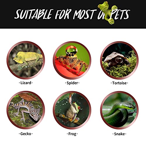 Night Heat Lamp Reptile 100W Heat Bulb, Moonlight Pet Light UVA Spot Lamp for Reptile and Amphibian Tortoise Lizard Snake Chameleon Spider-2 Pack