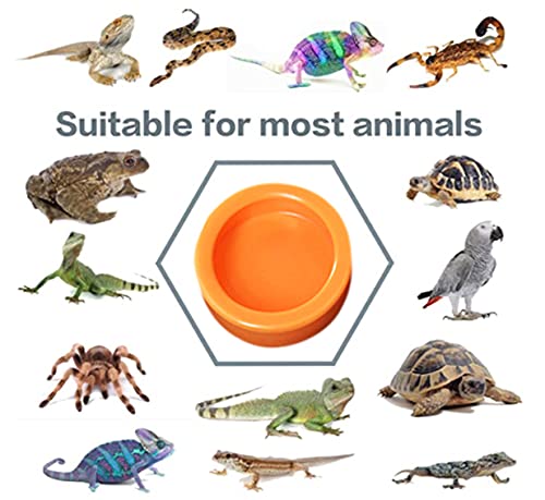 2PCS Reptile Food Dish Bowl Worm Water Dish Lizard Gecko Ceramic Pet Bowls, Mealworms Bowls Anti-Escape Mini Superworm Feeder Set with Long Tweezers Feeding Tools and Cleaning Tools