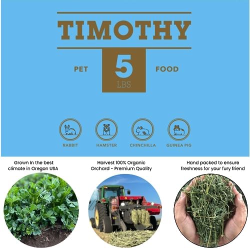 Bunny Honey Timothy Hay for Pets - Premium Quality All-Natural Feed for Rabbits, Guinea Pigs, and Chinchillas (Timothy5LB)