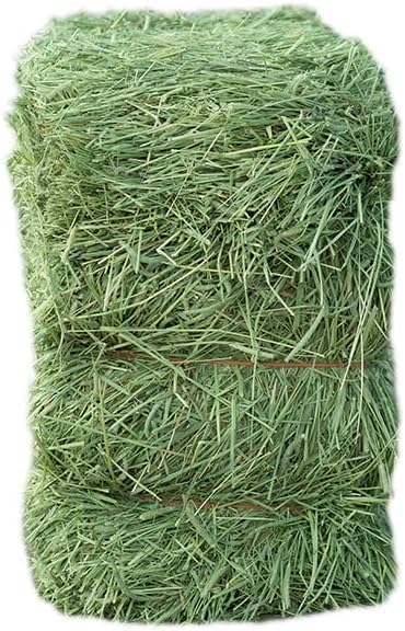 Bunny Honey Timothy Hay for Pets - Premium Quality All-Natural Feed for Rabbits, Guinea Pigs, and Chinchillas (Timothy5LB)