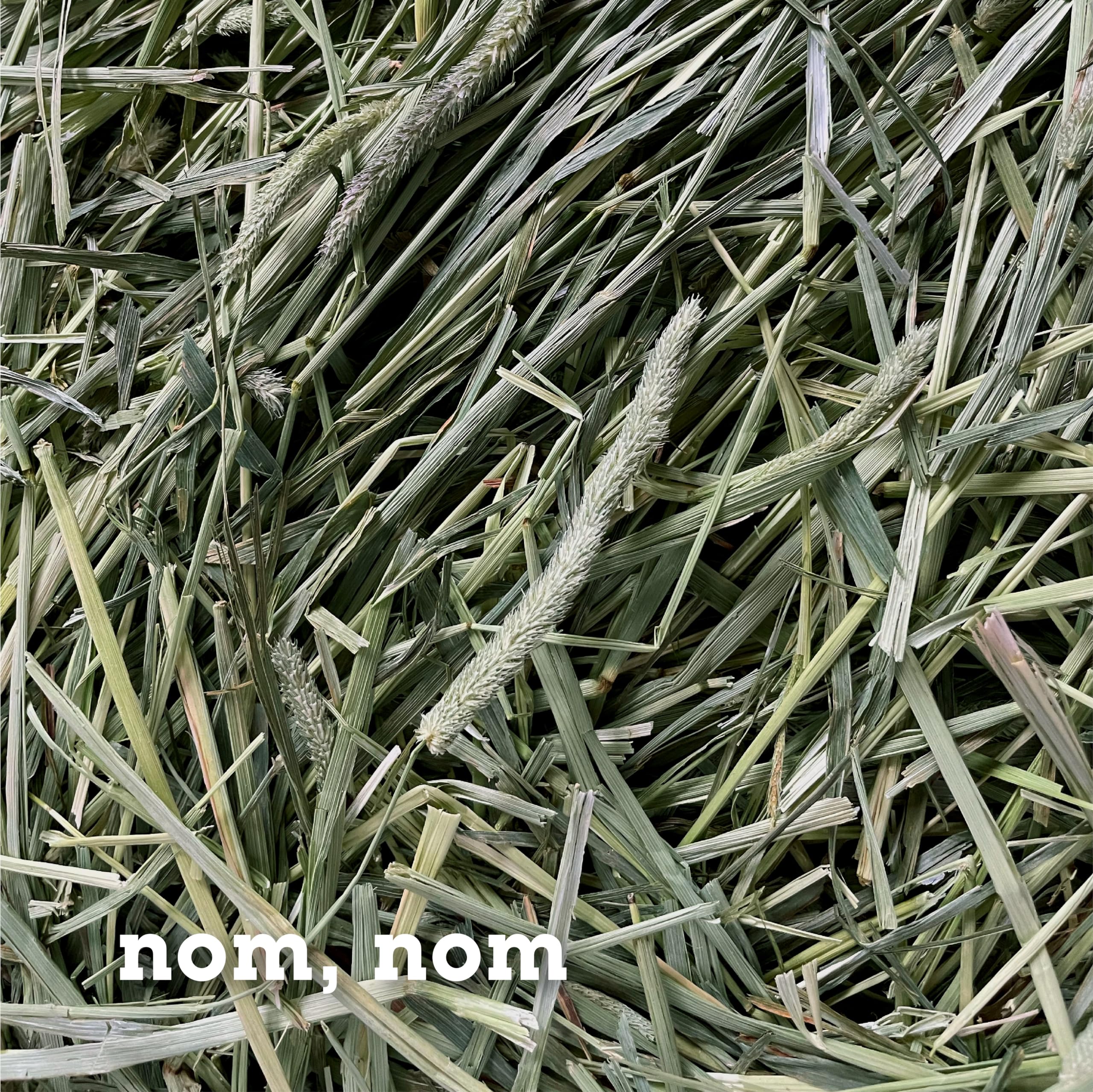 Bunny Honey Timothy Hay for Pets - Premium Quality All-Natural Feed for Rabbits, Guinea Pigs, and Chinchillas (Timothy5LB)