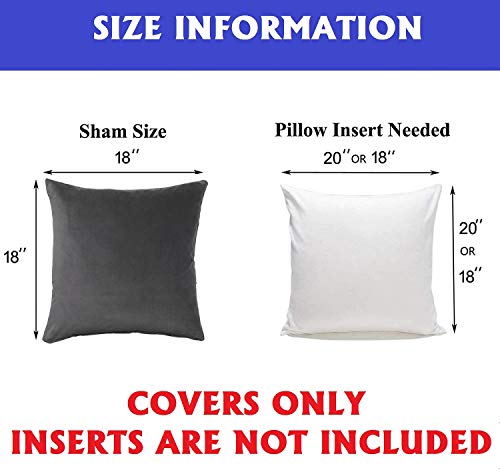 Elegant Comfort Pack of 2, Velvet Soft Solid Decorative Square Throw Pillow Covers Set Cushion Case for Sofa Bedroom Car, 20 x 20, Burgundy