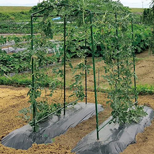 Xiny Tool Garden Stakes, 25 Pack Steel Plant Garden Tomato Stakes with Plastic Coat for Climbing Plants (25 Pack 60 Inch)