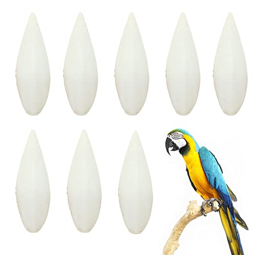 Tfwadmx 8Pcs Bird Cuttlebone for Parakeets Cuddle Bones for Birds Chewing Cuttlefish Bone Natural Birds Calcium for Parrots Cockatiels Budgies Conures Cockatoos,4.3-5.1 Inches