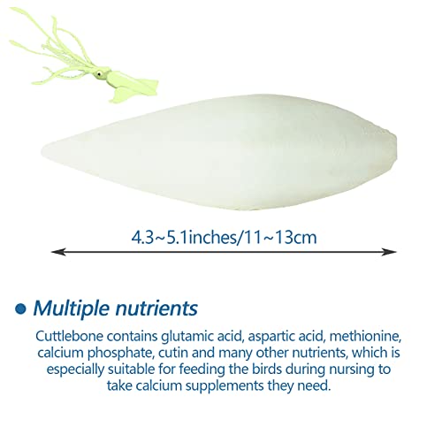 Tfwadmx 8Pcs Bird Cuttlebone for Parakeets Cuddle Bones for Birds Chewing Cuttlefish Bone Natural Birds Calcium for Parrots Cockatiels Budgies Conures Cockatoos,4.3-5.1 Inches