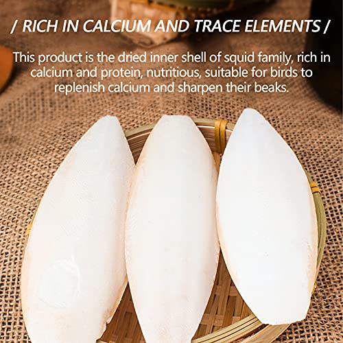 Tfwadmx 8Pcs Bird Cuttlebone for Parakeets Cuddle Bones for Birds Chewing Cuttlefish Bone Natural Birds Calcium for Parrots Cockatiels Budgies Conures Cockatoos,4.3-5.1 Inches