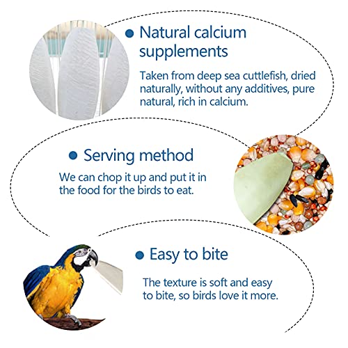 Tfwadmx 8Pcs Bird Cuttlebone for Parakeets Cuddle Bones for Birds Chewing Cuttlefish Bone Natural Birds Calcium for Parrots Cockatiels Budgies Conures Cockatoos,4.3-5.1 Inches