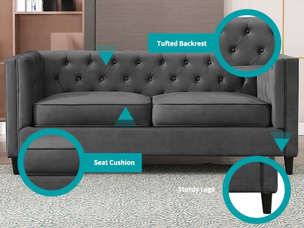 BALUS Button Tufted Upholstered Sofa, Modern Velvet Couch with Solid Wood Construction, Classic Chesterfield, 2 Seater Sofa Couch, Couches for Living Room/Apartment/Office/Bedroom Furniture,Dark Grey