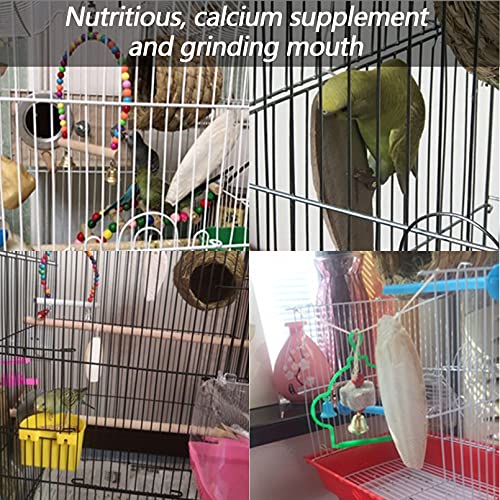 Tfwadmx 8Pcs Bird Cuttlebone for Parakeets Cuddle Bones for Birds Chewing Cuttlefish Bone Natural Birds Calcium for Parrots Cockatiels Budgies Conures Cockatoos,4.3-5.1 Inches