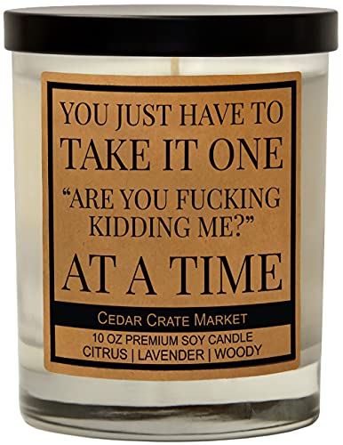 Take It One, Funny Candles Gifts for Women, Hand Poured in The USA, Men, Best Friends Birthday Gifts for Women, Friendship Gifts for Her, Funny Gifts for Friends, Mom, BFF, Girlfriend, Boyfriend