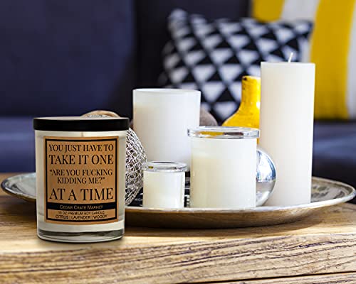Take It One, Funny Candles Gifts for Women, Hand Poured in The USA, Men, Best Friends Birthday Gifts for Women, Friendship Gifts for Her, Funny Gifts for Friends, Mom, BFF, Girlfriend, Boyfriend