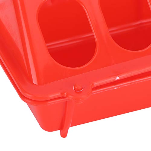 Bird Feeder, 5Pcs/Set Bird Feeder Container, for Starlings for Pigeons for Parrots