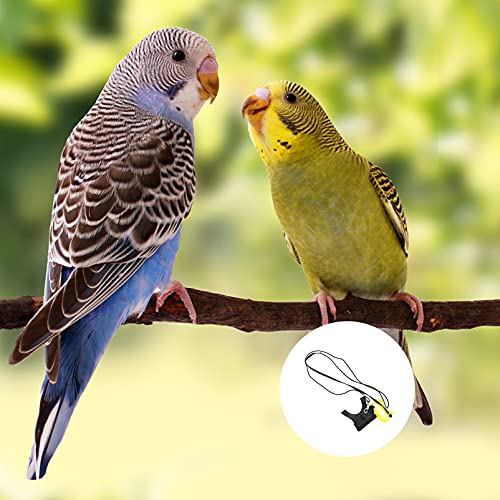 STOBOK Parrot Bird Harness Leash Adjustable Bird Flying Harness Traction Rope for Parrots Pigeons Budgerigar Lovebird Cockatiel Mynah Outdoor