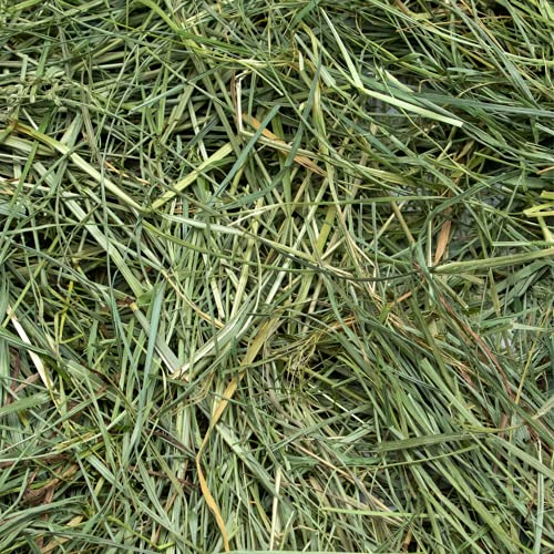 Rabbit Hole Hay Ultra Premium, Hand Packed Mountain Grass for Your Small Pet Rabbit, Chinchilla, or Guinea Pig (40lb)