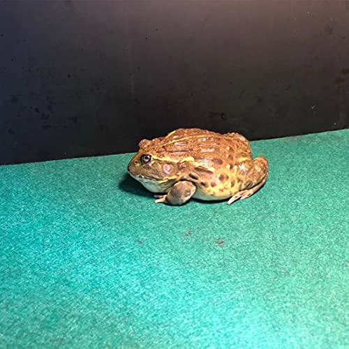 Hamiledyi Reptile Carpet Coconut Fiber Mat Terrarium Bedding Substrate Liner Soft Green Mat for Bearded Dragon Tortoise Lizard Snake Gecko Chamelon Iguana(2 Pcs)