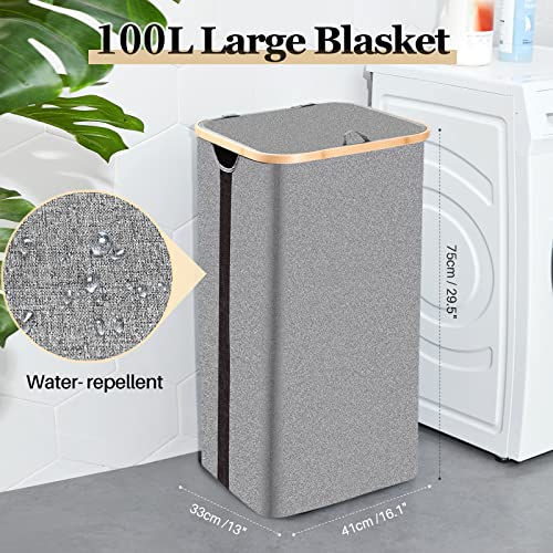 Grey Laundry Hamper with Lid, 100L Large Laundry Basket, Clothes Hamper with Clear Window Visible, Removeable Laundry Bags for Bathroom Bedroom Home, Toy Organizer, Laundry Room