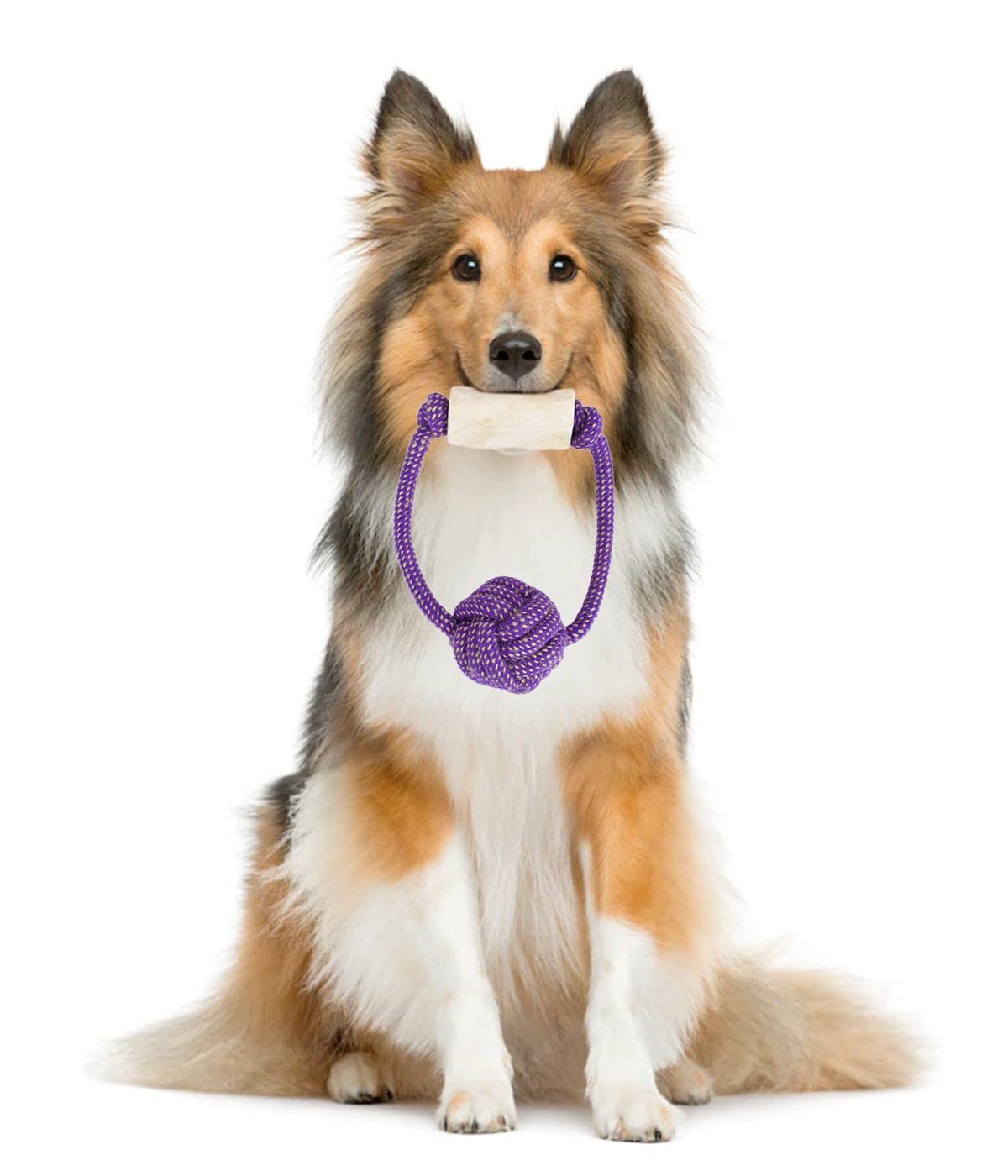 Crazy Tails Dog Chew Rope Toy for All Puppy Breeds Toys for Teething Small Dogs-Ring Ball with Bone
