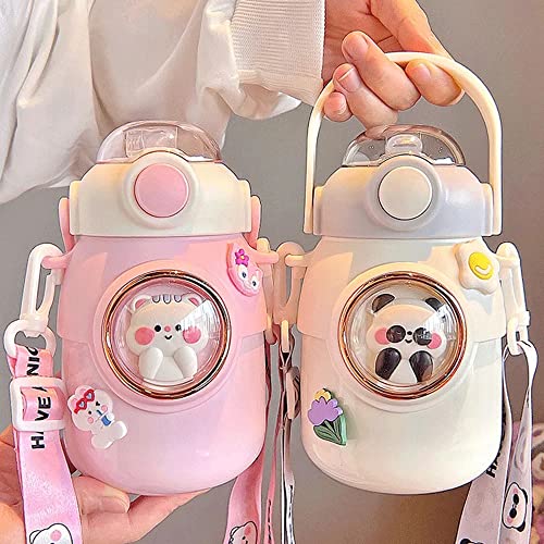 Stainless Steel Water Bottles for School BPA Free Insulated Water Bottle with Straw And Lid (Pink)