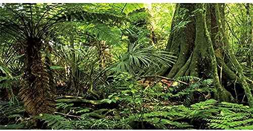AWERT 24x12 inches Forest Terrarium Background Stone Green Huge Tree Reptile Habitat Background Tropical Rainforest Aquarium Background Durable Polyester Background