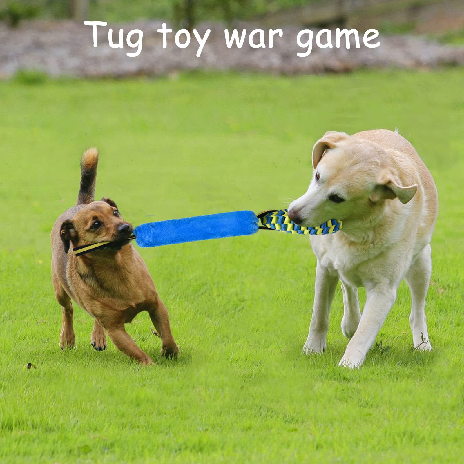 ELEGX Interactive Dog Bungee Toy with Squeaky Sound, Ideal for Aggressive Chewers & Dog Teeth Cleaning, Suitable for Small to Large Breeds