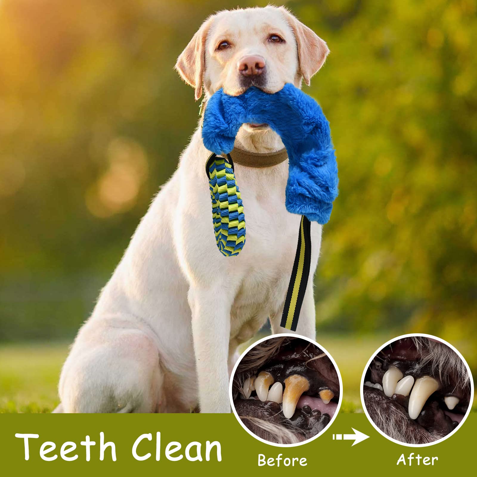 ELEGX Interactive Dog Bungee Toy with Squeaky Sound, Ideal for Aggressive Chewers & Dog Teeth Cleaning, Suitable for Small to Large Breeds