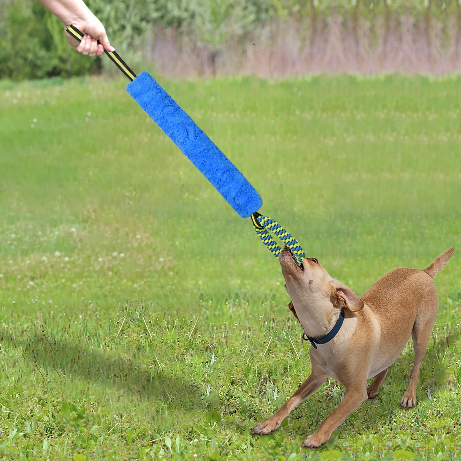 ELEGX Interactive Dog Bungee Toy with Squeaky Sound, Ideal for Aggressive Chewers & Dog Teeth Cleaning, Suitable for Small to Large Breeds